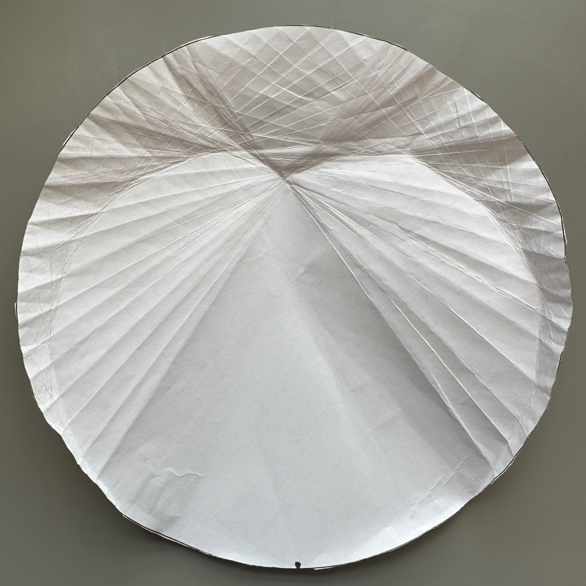 Folding a Cardioid – David Richeson: Division by Zero